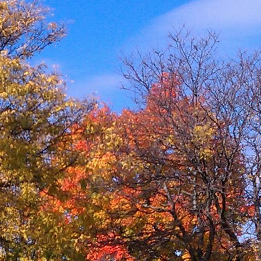 Chuanmming Xue - YouTube