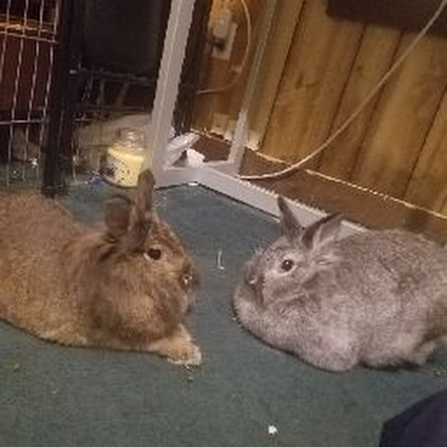 Kyle Flynn - YouTube