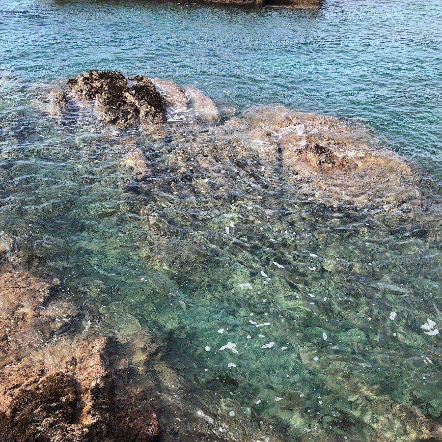 チャンネルTTN - YouTube