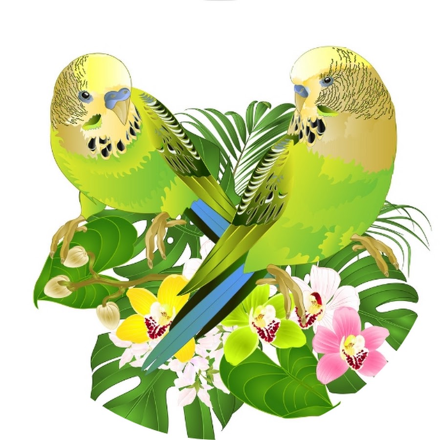 Sumon's activity and vlog - YouTube