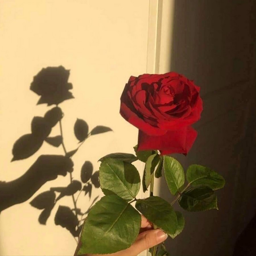 Mhamdiii Ysm - YouTube