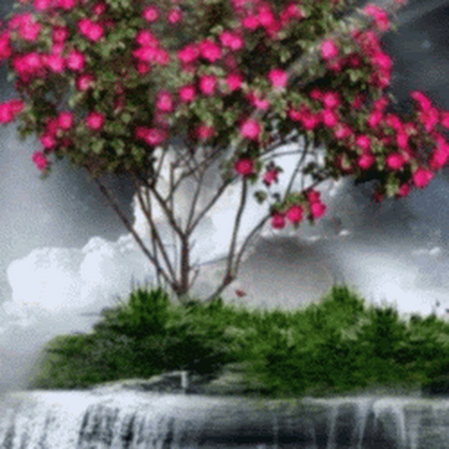 Eng Ibrahim - YouTube