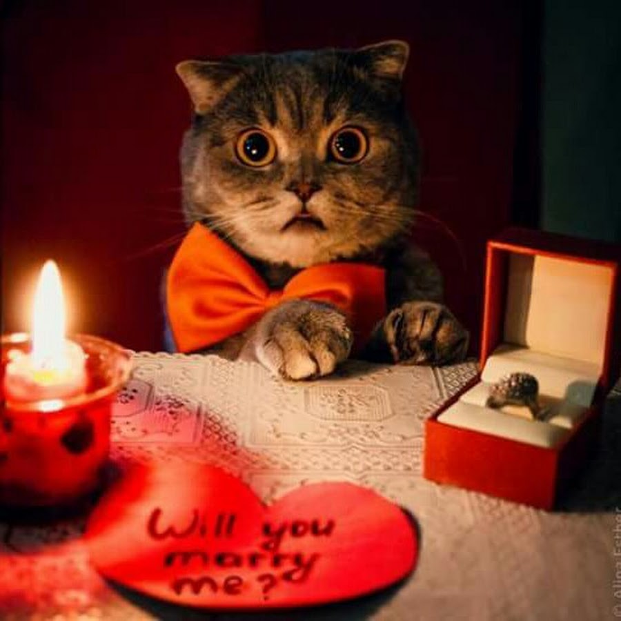 Sikder RIFAT - YouTube