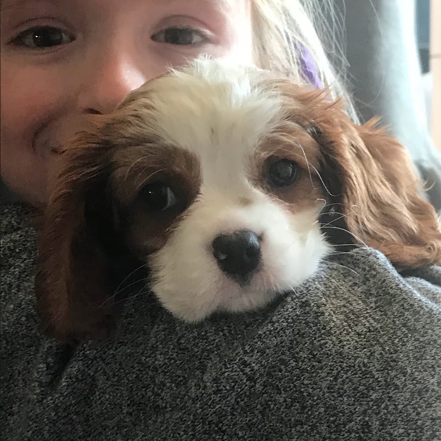 Dafydd Morgan - YouTube