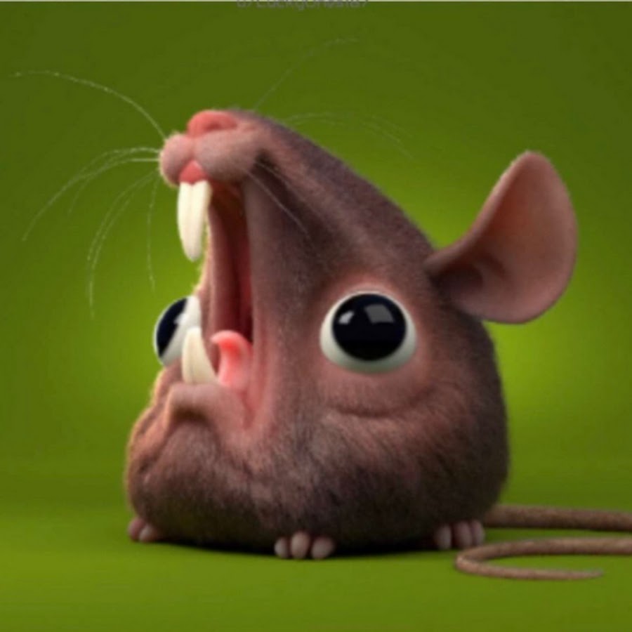 Adam Albright - YouTube