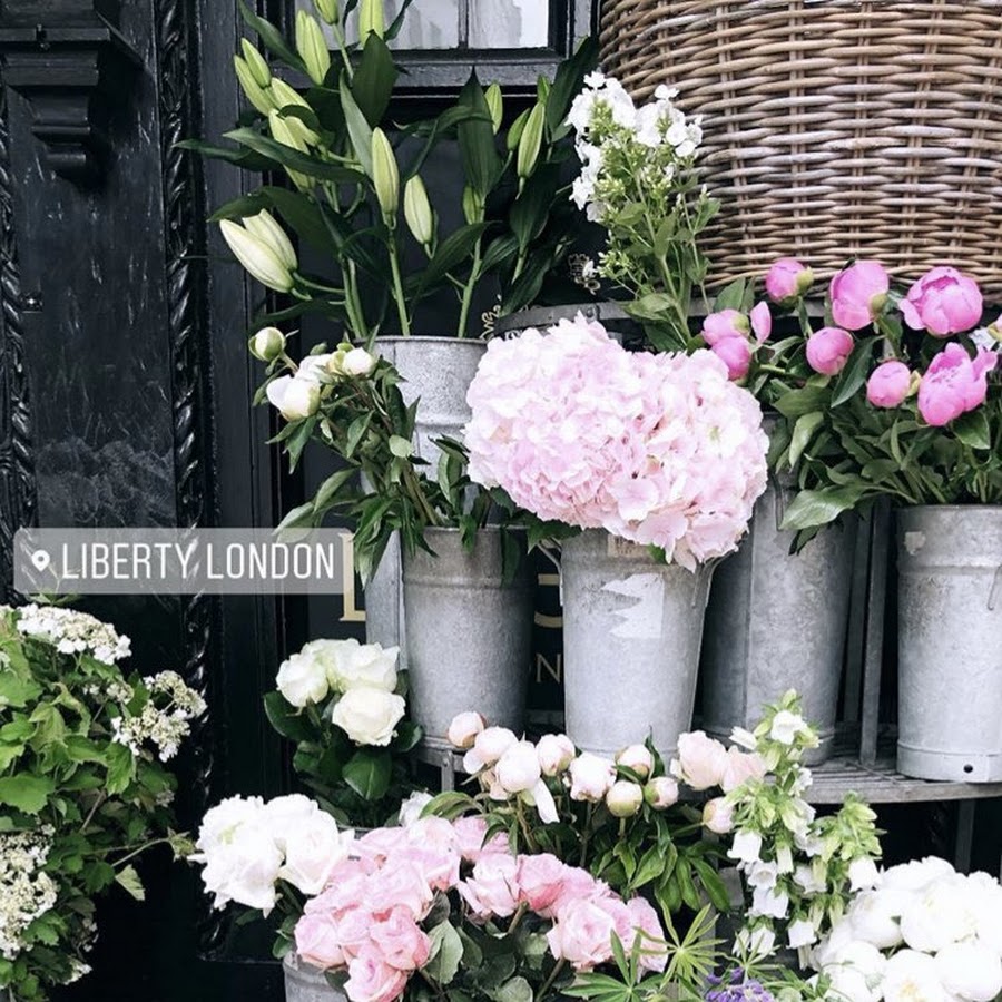 Hope Wilkins - YouTube