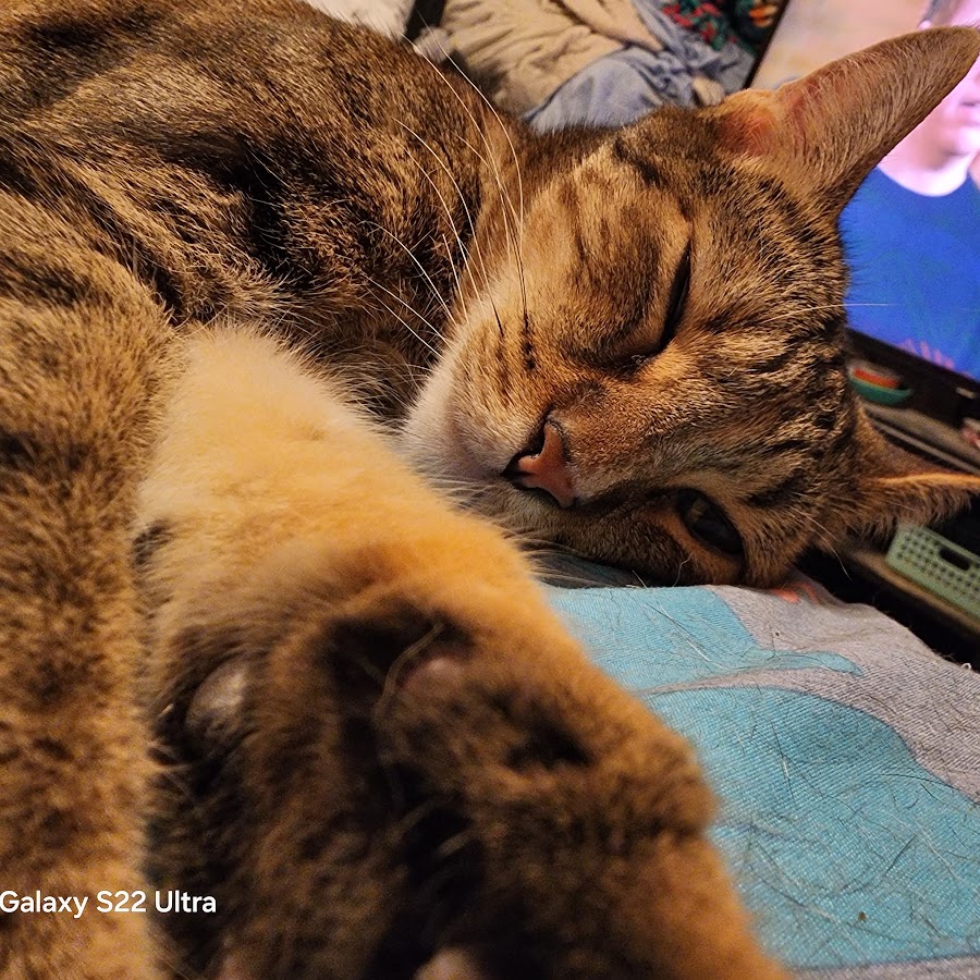 teresa mata - YouTube