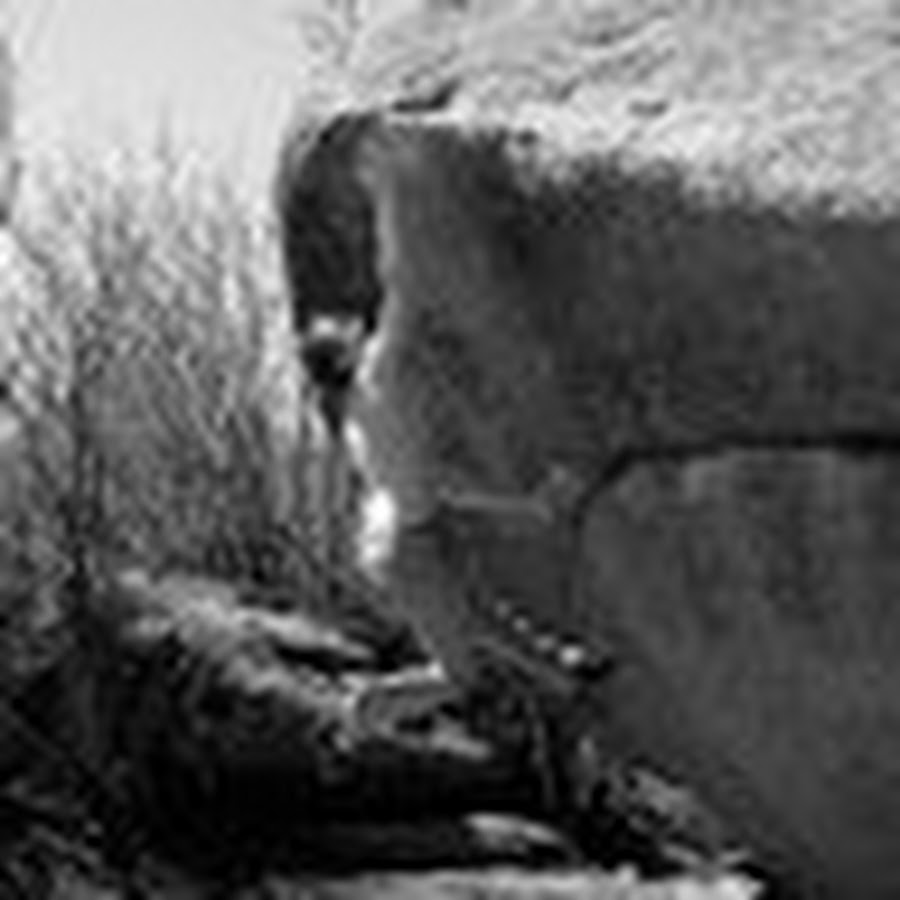 Kevin Moroney - YouTube