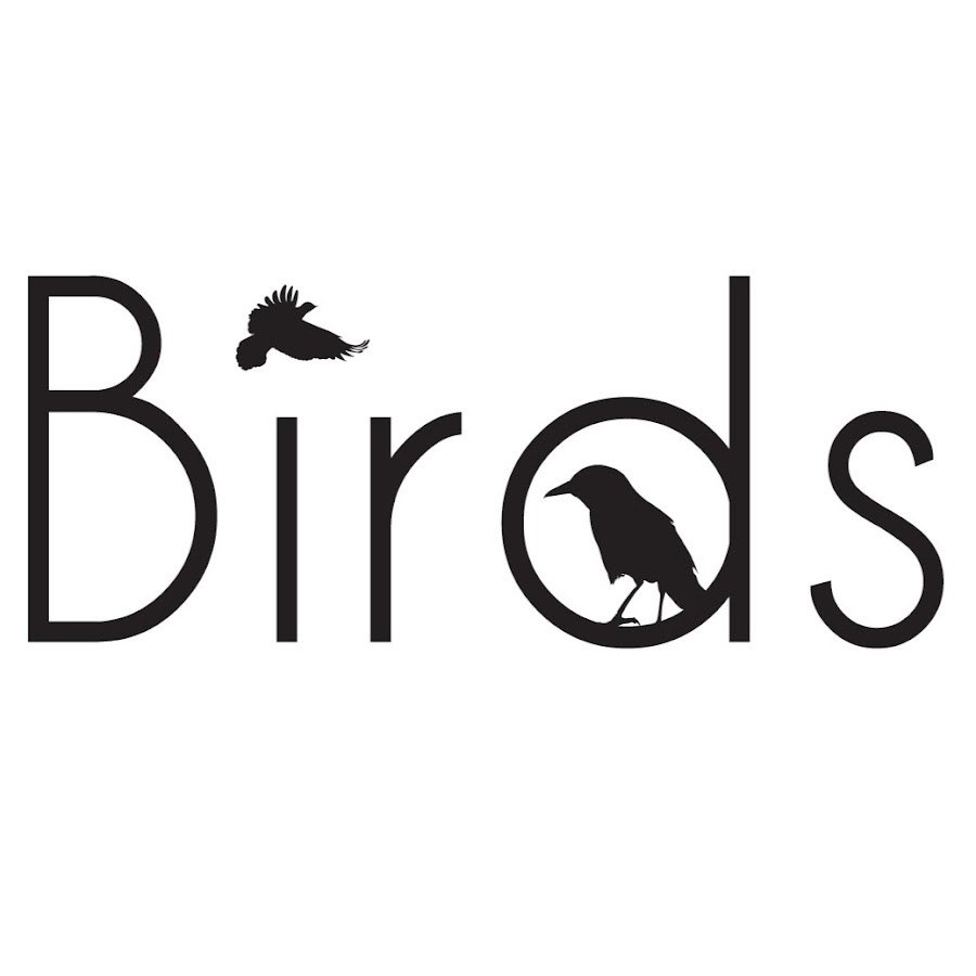 Birds Youtube