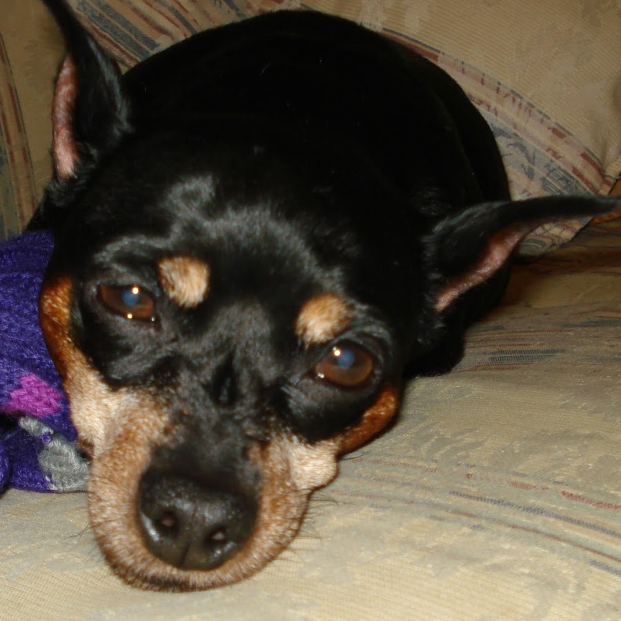 Stephanie O’Roark - YouTube