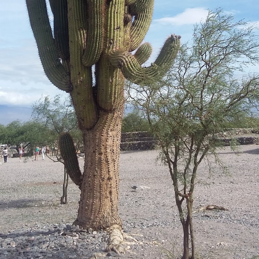 Andii Nina - YouTube