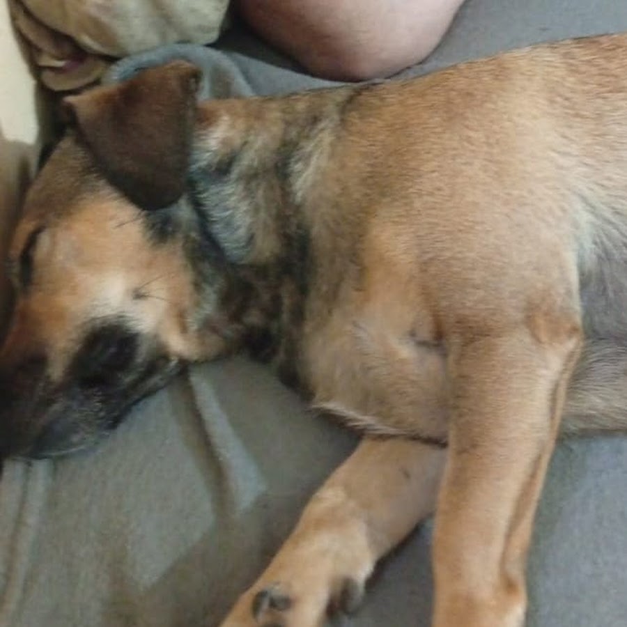 AIdro_l2WZihn7QO2Njk5oQpsfVenFhezcsxKu5G_r092w=s900-c-k-c0x00ffffff-no-rj