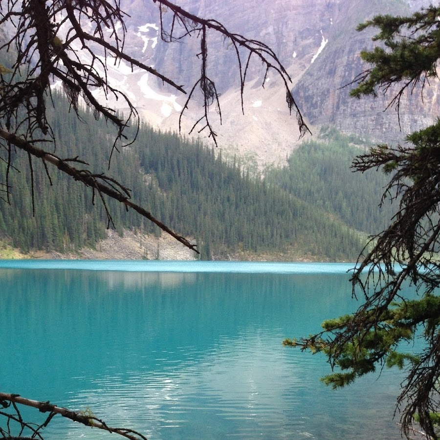 Adele Jacobs - YouTube