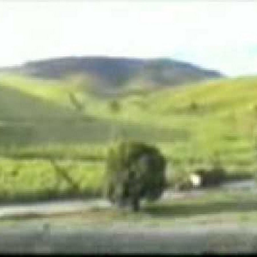 Adelmi Olimpio Alves Olimpio - YouTube