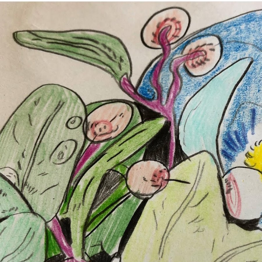 Haley Dodd - YouTube