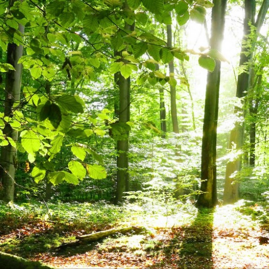 Supin Yatikaro - YouTube