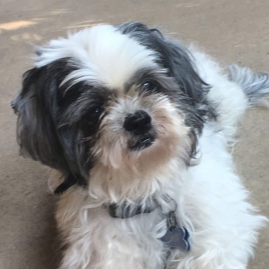 Kaley Easterling - YouTube