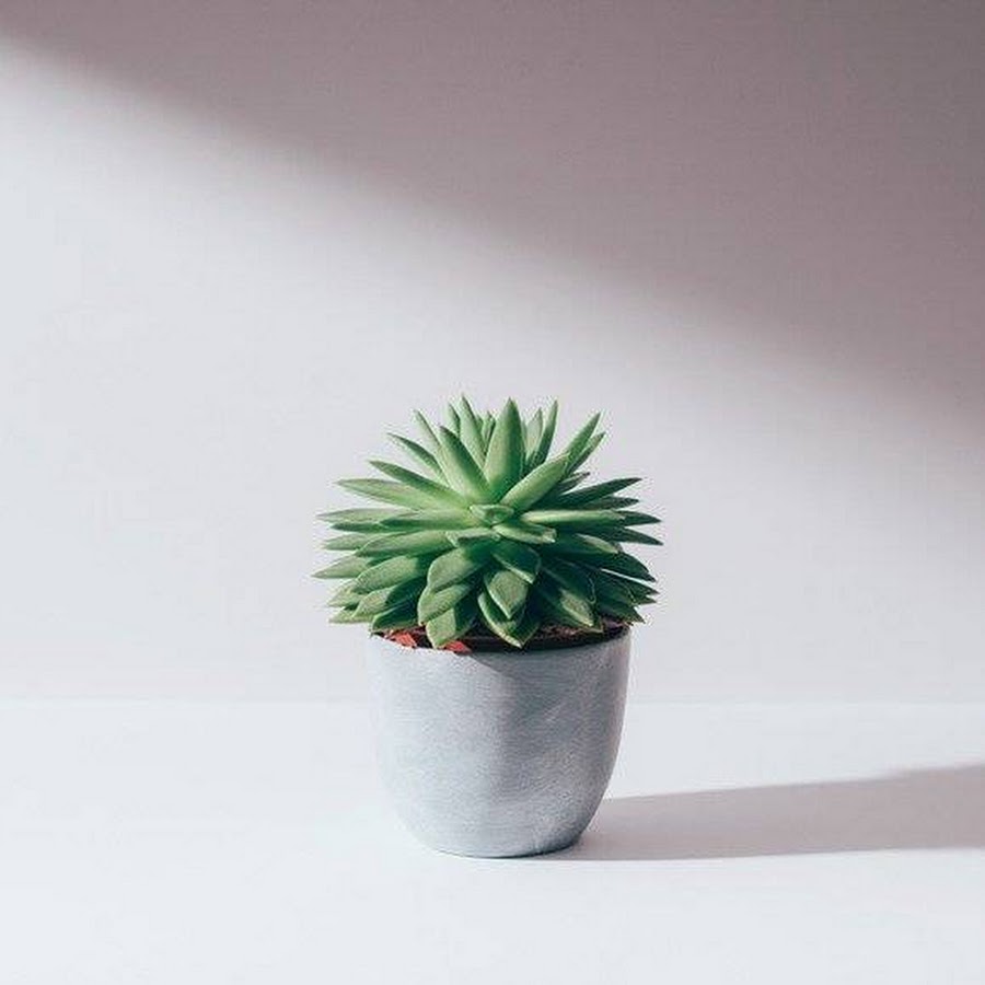 William Ruan - YouTube