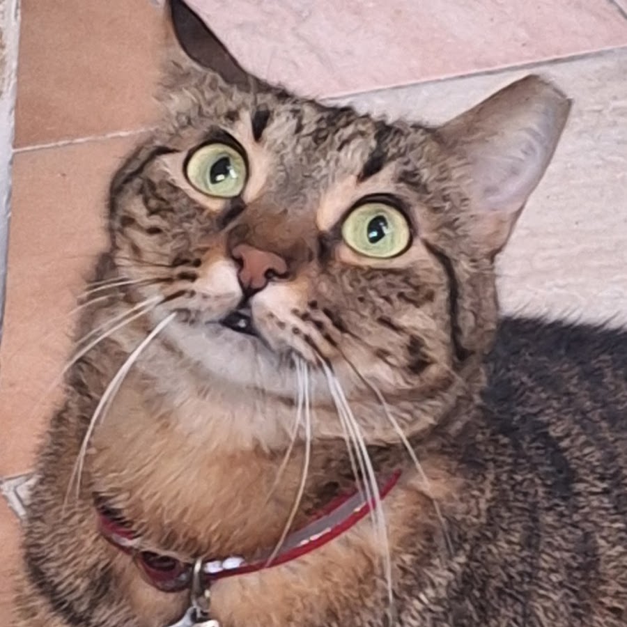 Arzu Karahan - YouTube