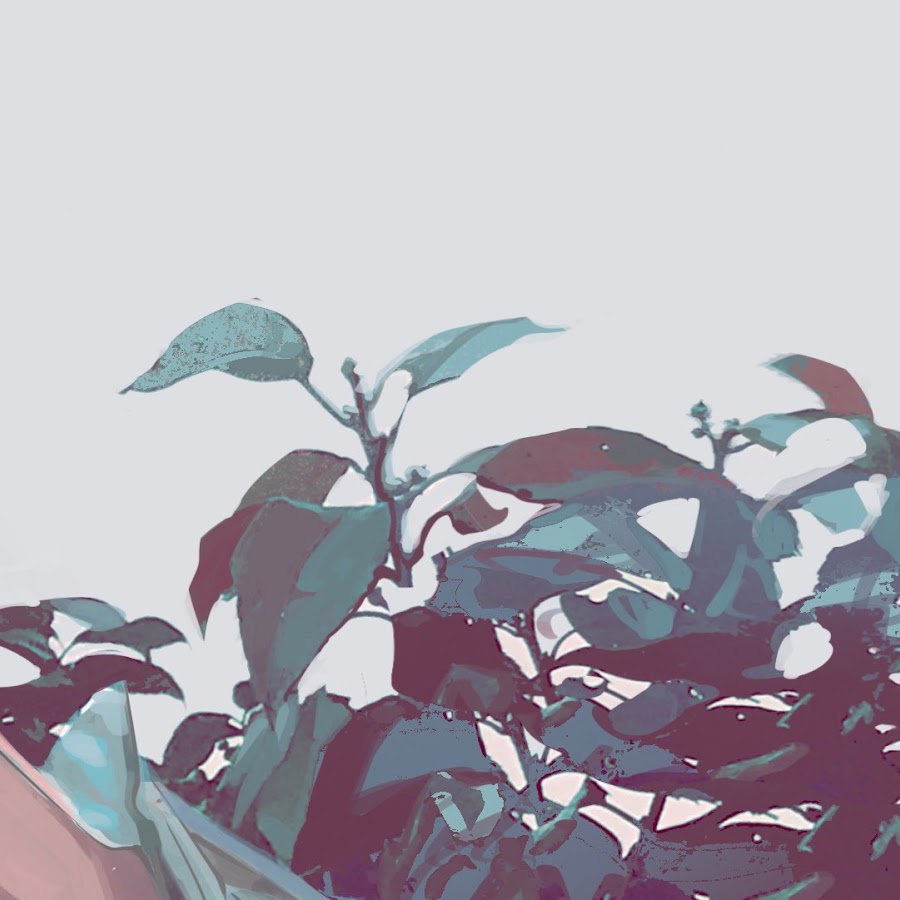 Sheya Chen - YouTube