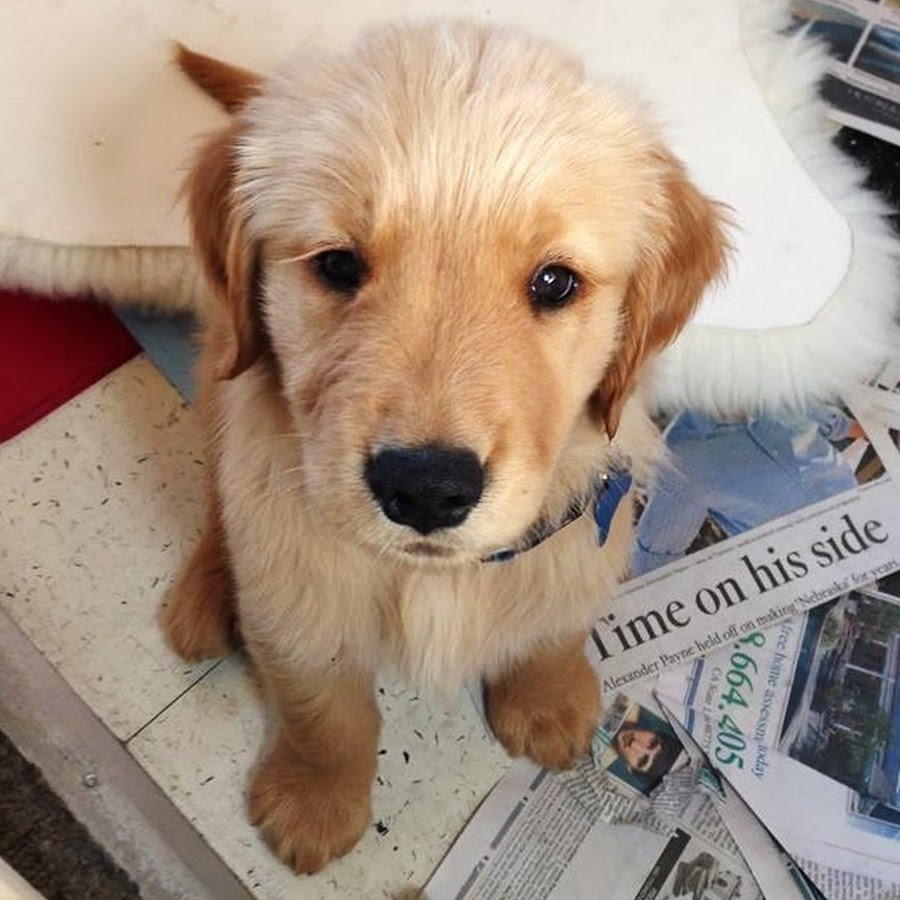 Eric Koenig - YouTube