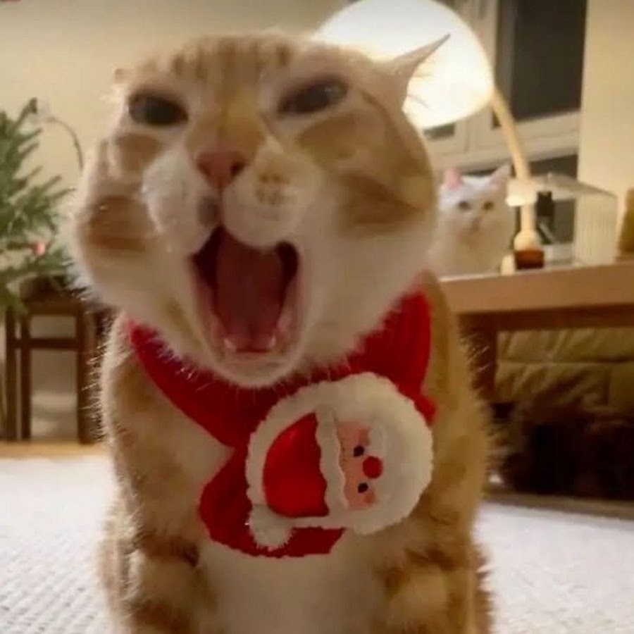 Savannah Martin - YouTube