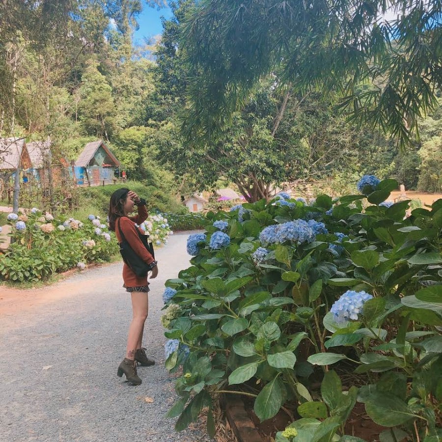 Nghi Phuong - YouTube