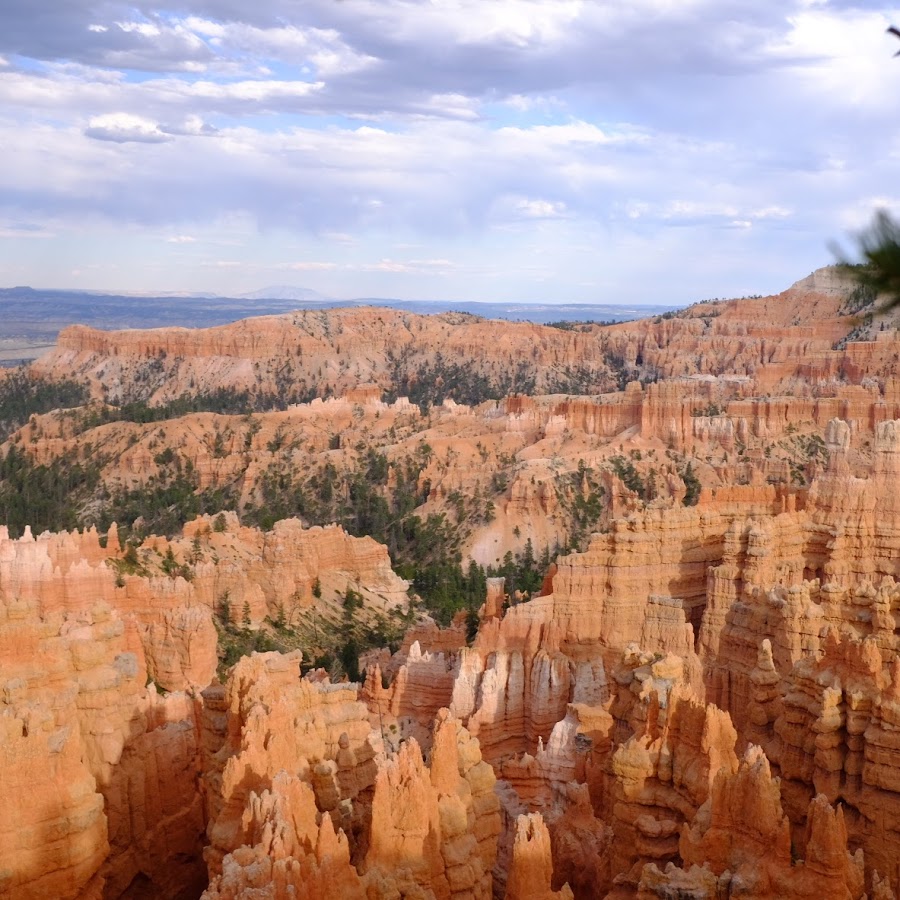 AIdro_lbf5wLjmSLXphc2FB1O6pYRjf9-eVZFY6Su2rPk9-RfIM=s900-c-k ...