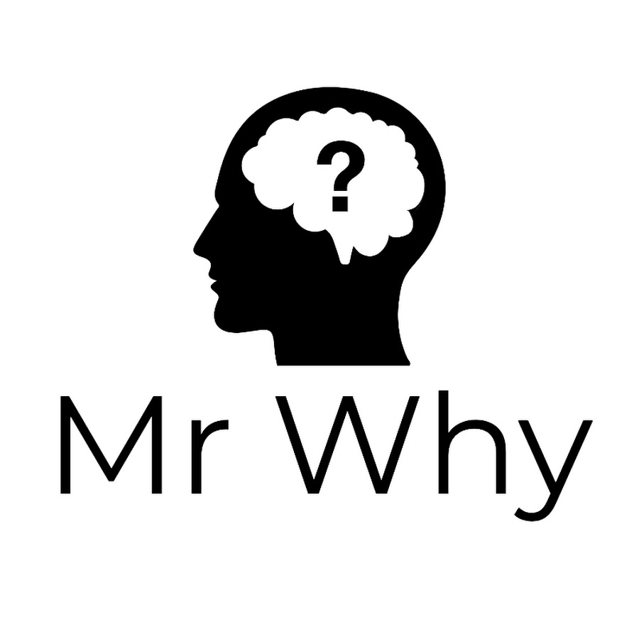Mr Why - YouTube