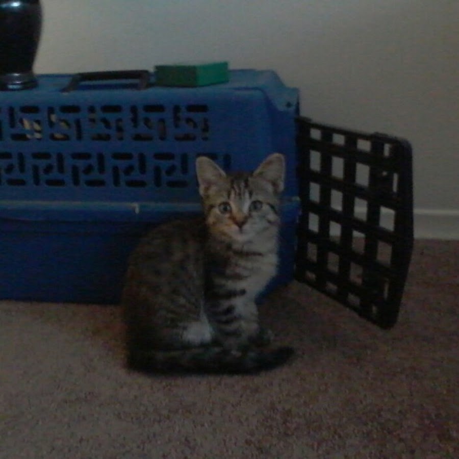 Mandy Walker - YouTube