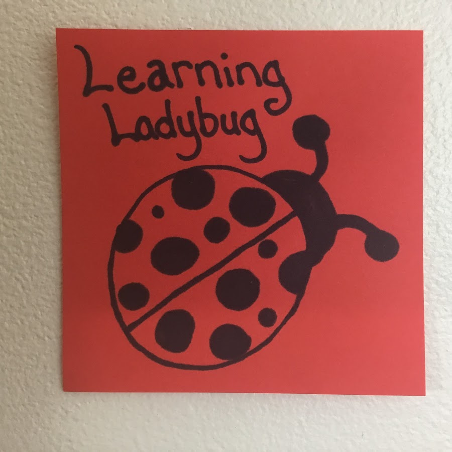 Learning Ladybug - YouTube