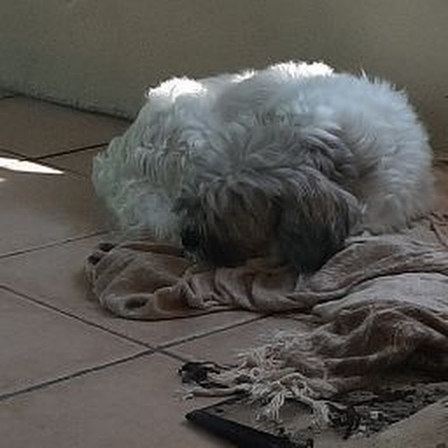 Corent McDonald - YouTube