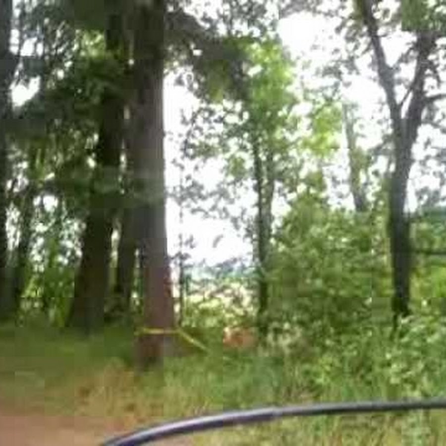 Patrick McCormick - YouTube