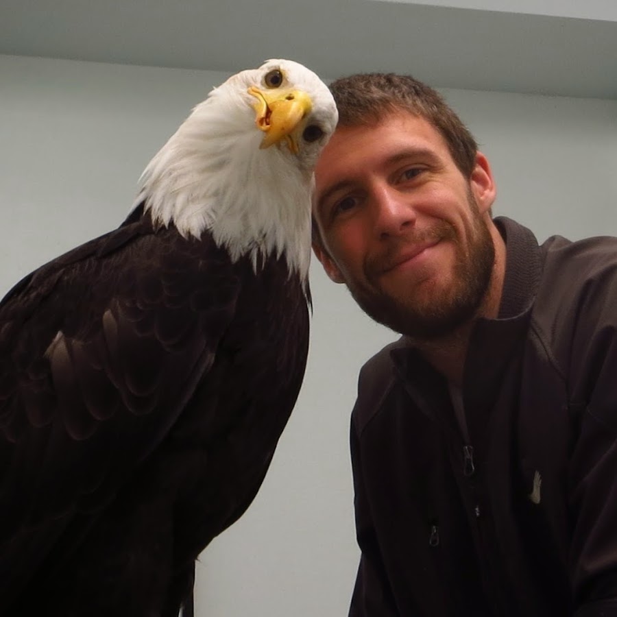 Steve Abbott - YouTube