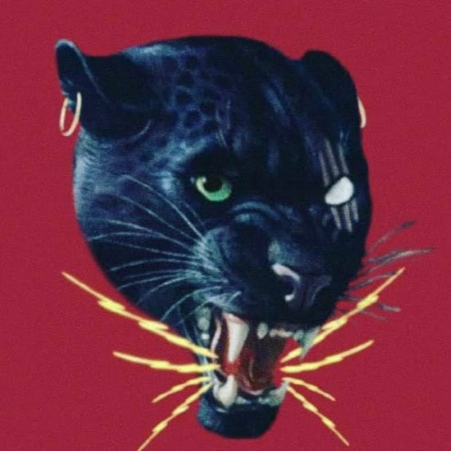 Savage Panther - YouTube