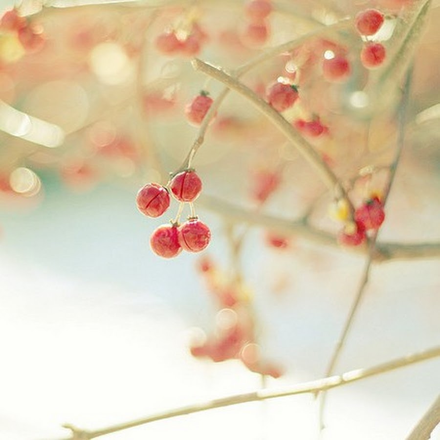 Băng Hạ - YouTube