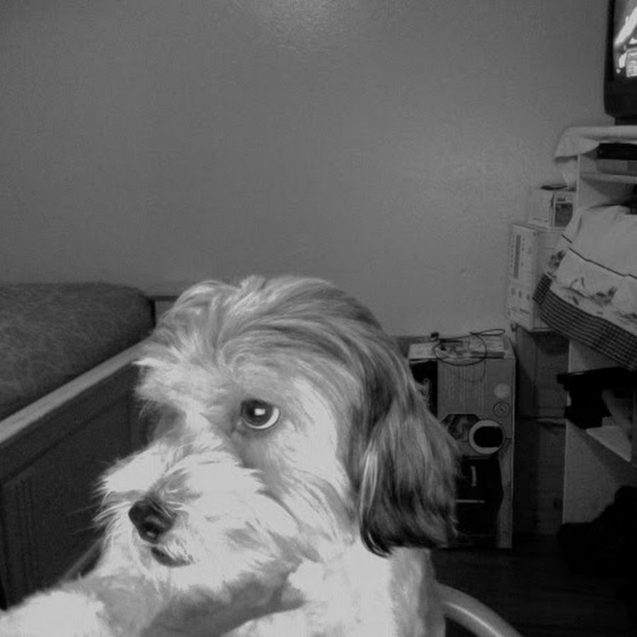 delia simon - YouTube