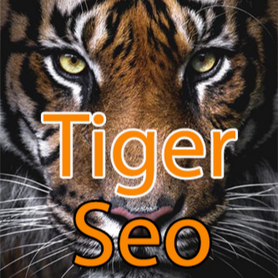 Tiger Seo - YouTube