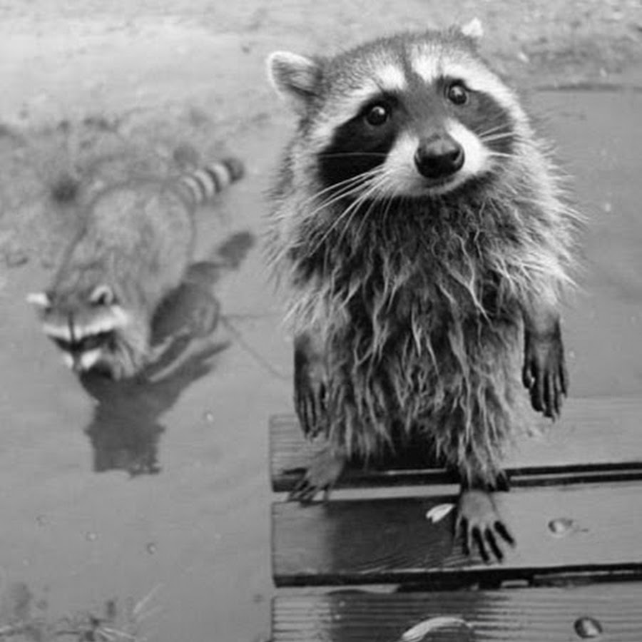 Stasya Cheh - YouTube