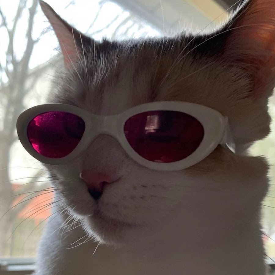 emily diaz - YouTube