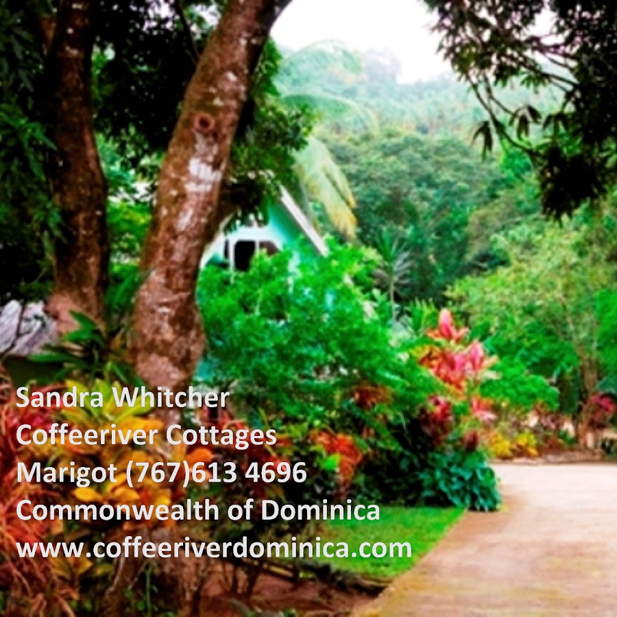 Sandra & Stephen Whitcher - YouTube