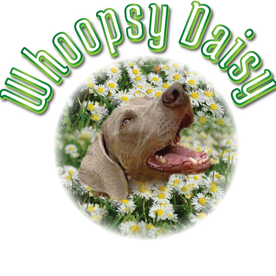 Whoopsy Daisy - YouTube