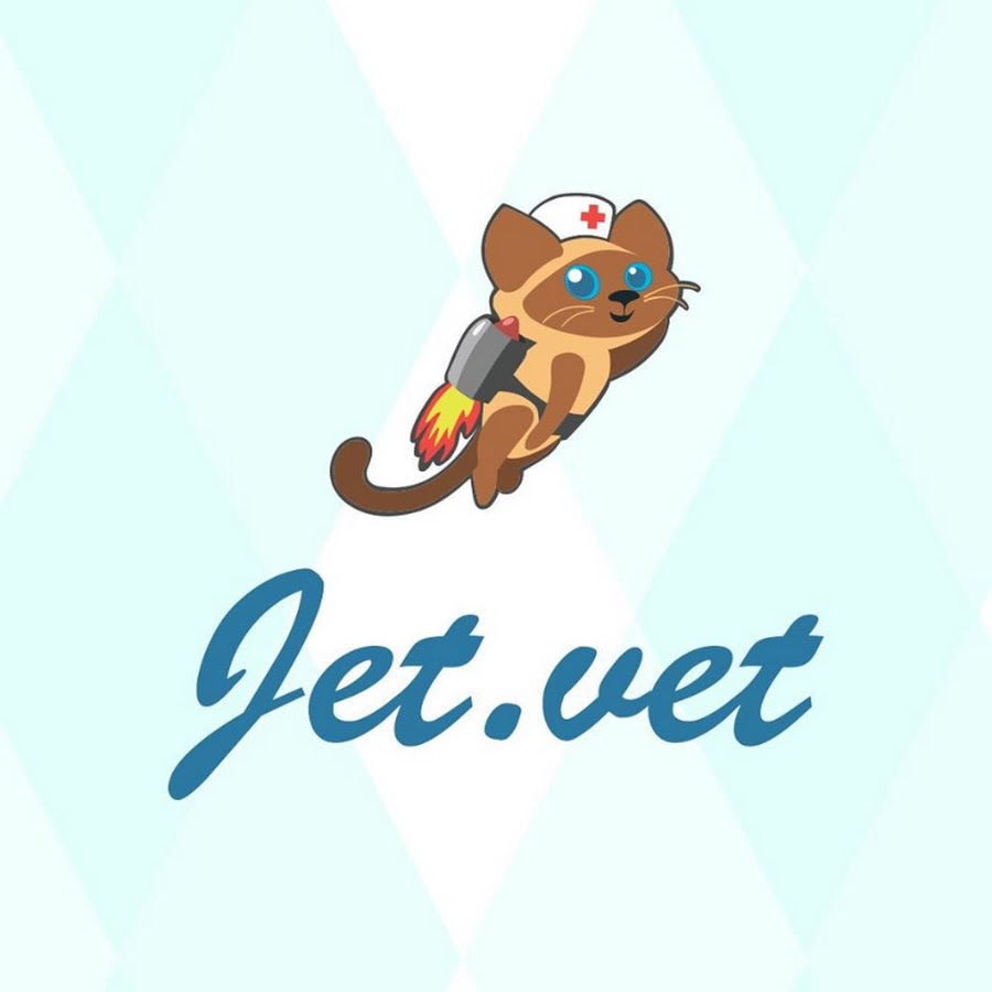Jet. Vet - YouTube