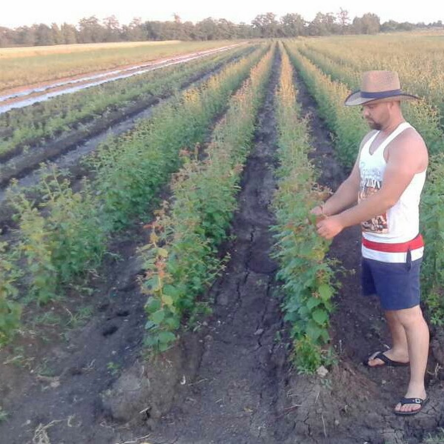 Costy Burlacu - YouTube