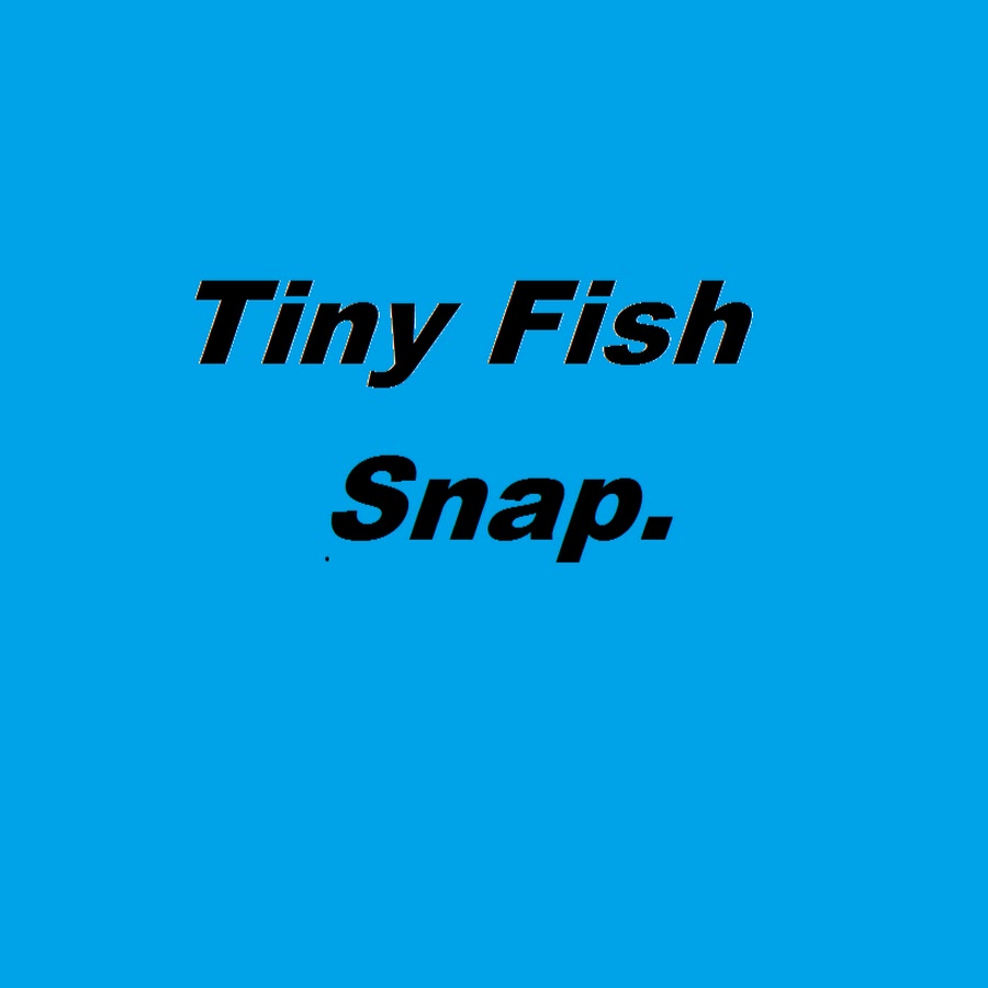 Tiny FishSnap - YouTube