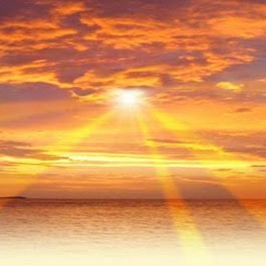 Drew Navarro - YouTube