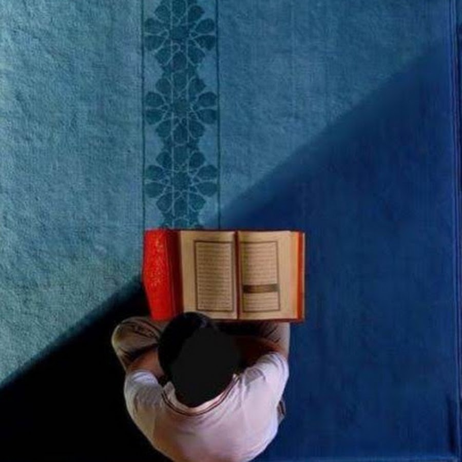 Bakr Youssef - YouTube