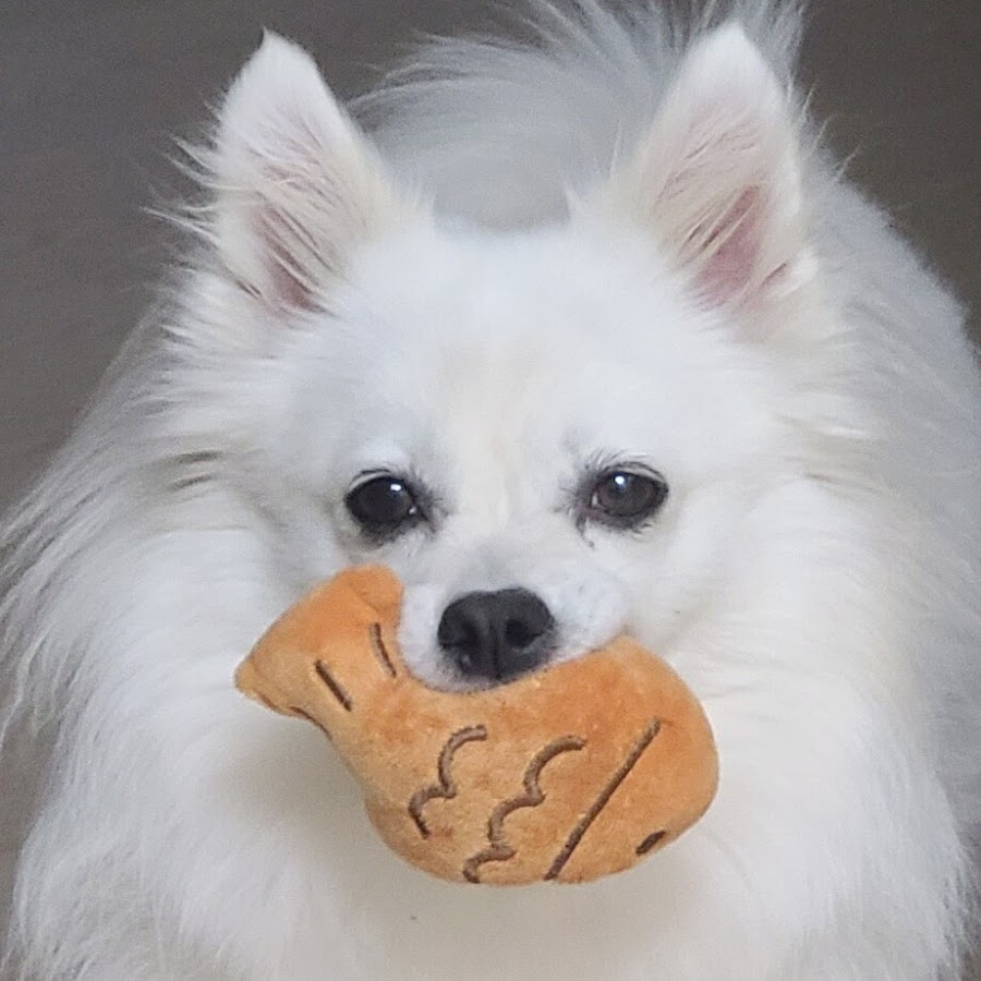 mochi onni - YouTube