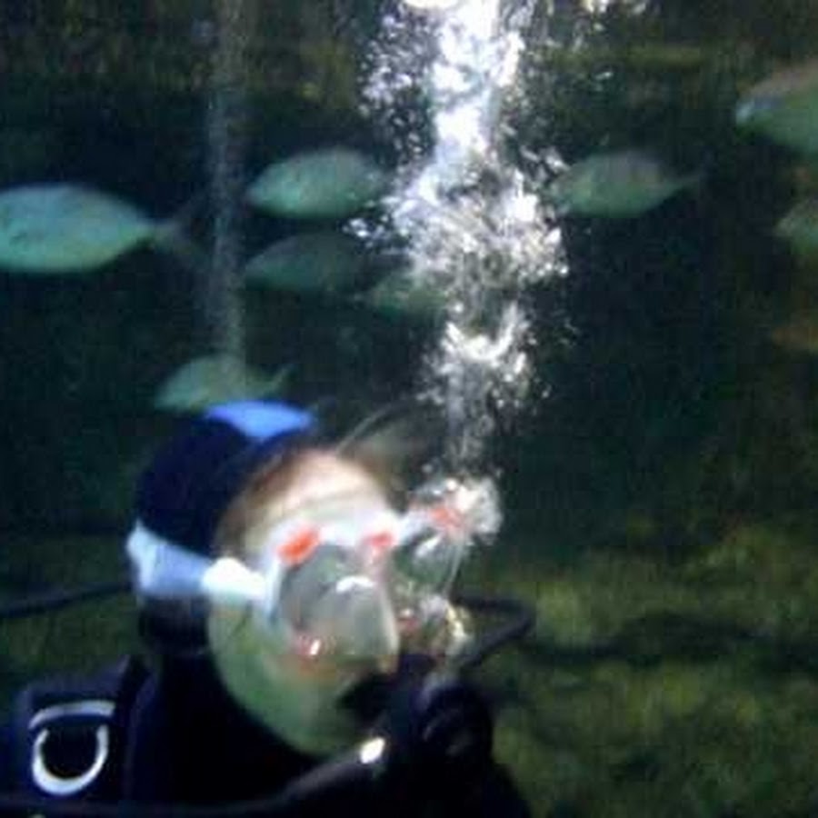 Mark Arrowsmith - YouTube