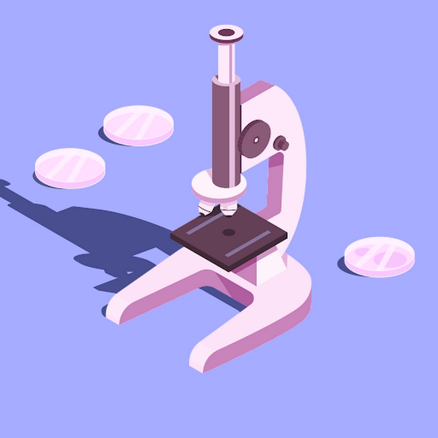 AIdro_mT_aC9VlwPmn_GRII091u9JD7uNlycE2-R9nZNu0ltIntg=s900-c-k ...